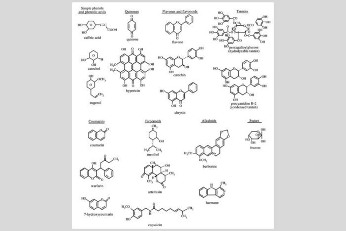 Sử dụng thảo dược trong nuôi trồng thủy sản - Aquaculture